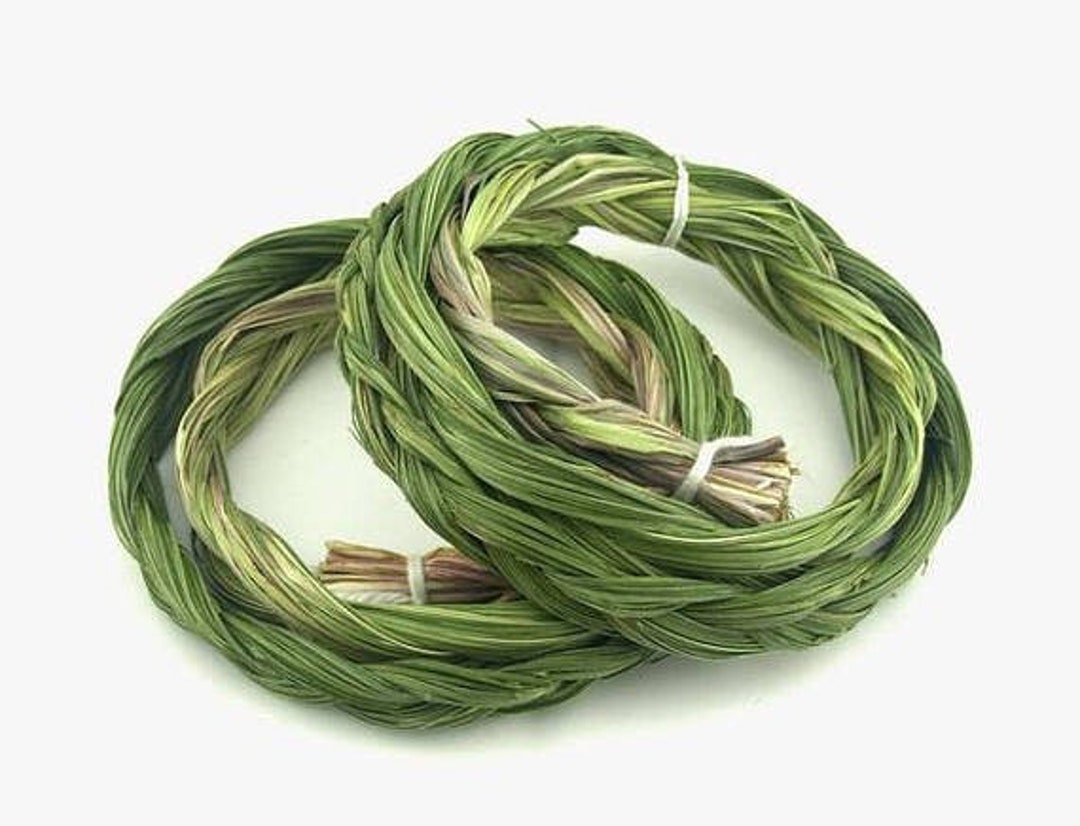 Large Premium Sweetgrass Braid, ONE Hierochloe Orodata, Vanilla Grass ...