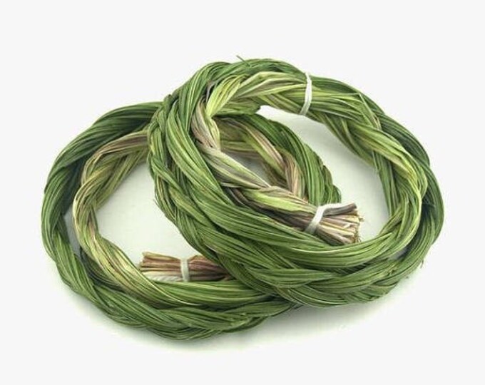 Large Premium Sweetgrass Braid, ONE Hierochloe Orodata, Vanilla Grass ...