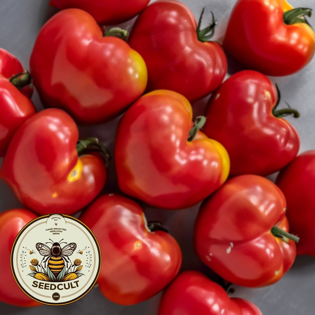 German Strawberry Tomato Seeds, Heirloom, Non-gmo, Solanum Lycopersicum ...