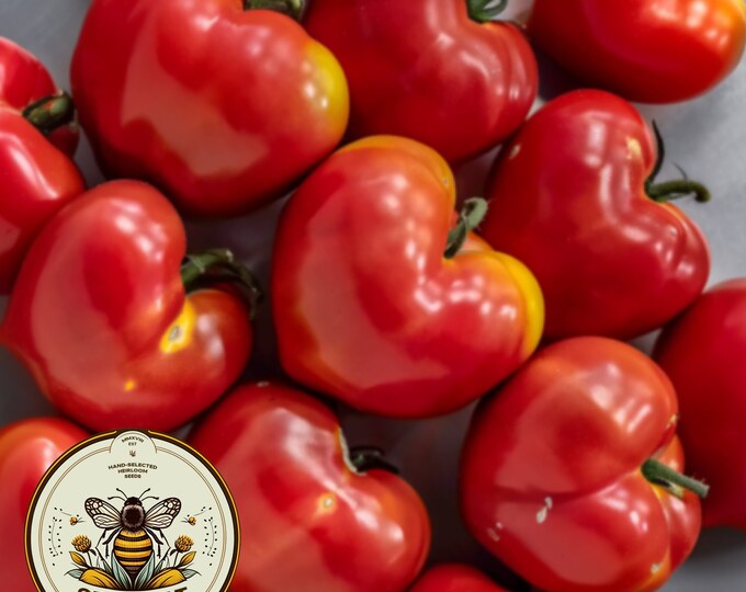 German Strawberry Tomato Seeds, Heirloom, Non-gmo, Solanum Lycopersicum ...