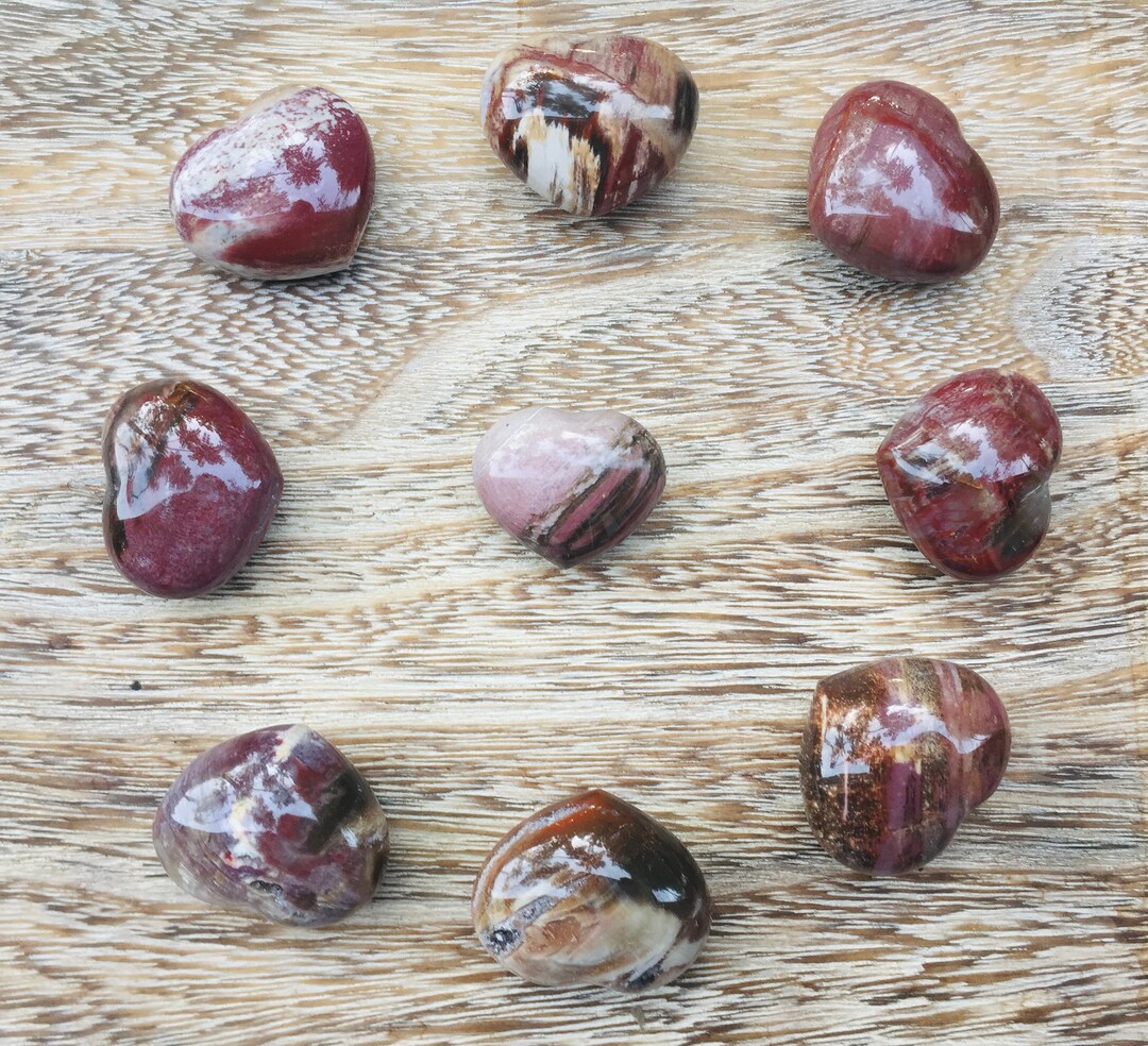 Rare Ancient Fossilized Xylopal Large Puffy Hearts - Etsy