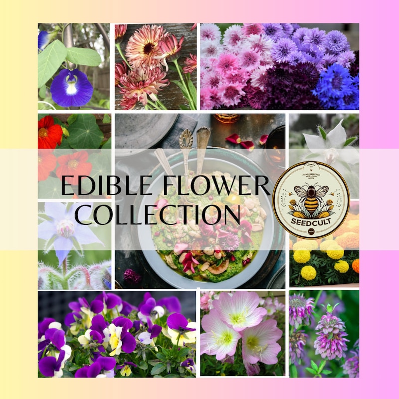 Edible Flowers Pack - Etsy