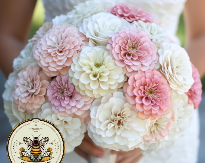 Zinnia Seeds – Ballerina, Soft Pink & Pale Peach Blend, 25 Seeds - Etsy