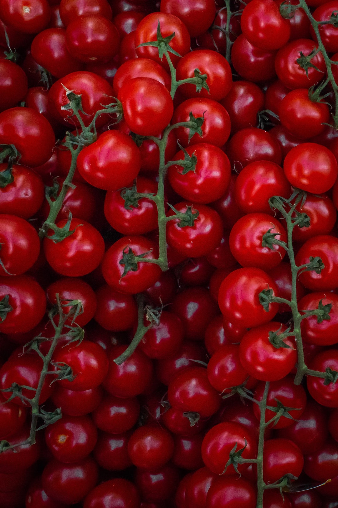 200 Bulk Large Red Cherry Tomato Seeds, Non-gmo Heirloom, Solanum ...