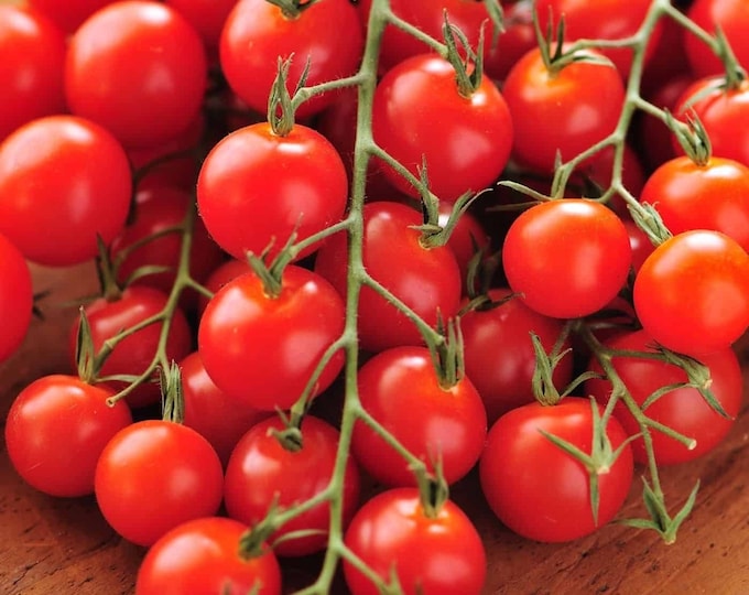 NEW! Super Sweet 100 Tomato Seeds, Solanum Lycopersicum LY2020 - Etsy