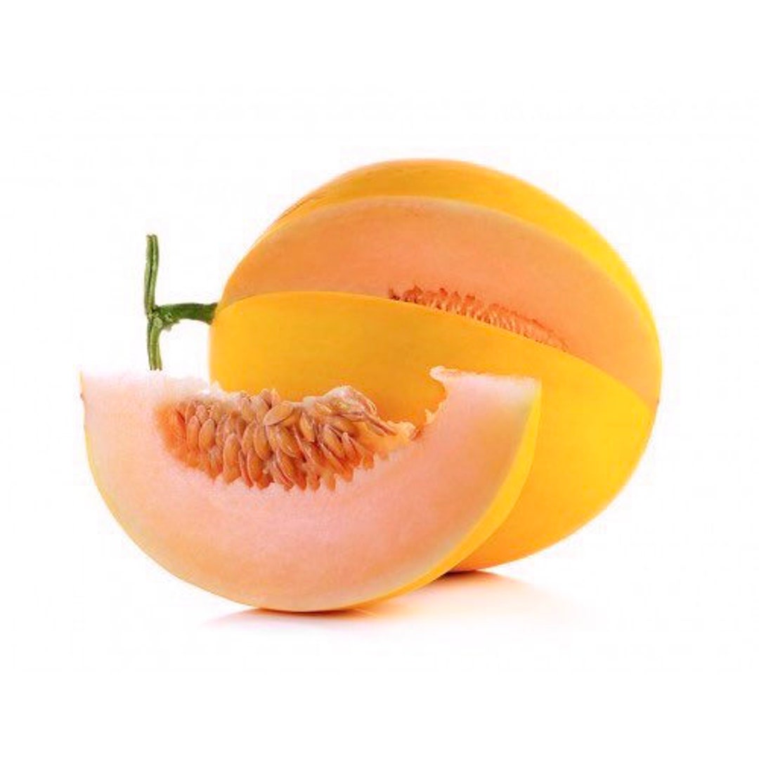 100 Golden Cantaloupe Melon Seeds Crenshaw Cucumis Melo - Etsy