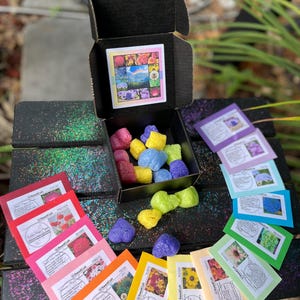 NEW! Rainbow Garden Seed Collection in Gift Box, Sampler, 14 Individual ...