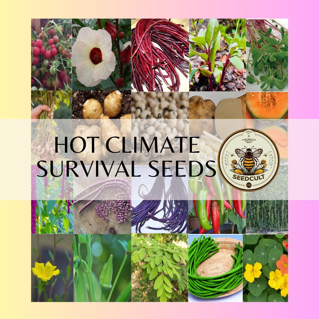 HOT CLIMATE Survival Seed Kit Over 1,600 Seeds in Resealable Mylar With ...