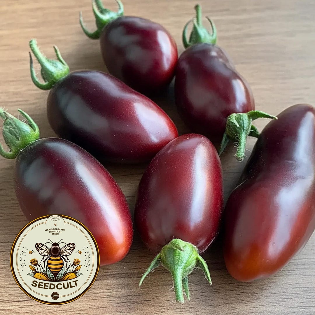 Ukraine Purple Tomato Seeds, Heirloom, Non-gmo, Solanum Lycopersicum ...