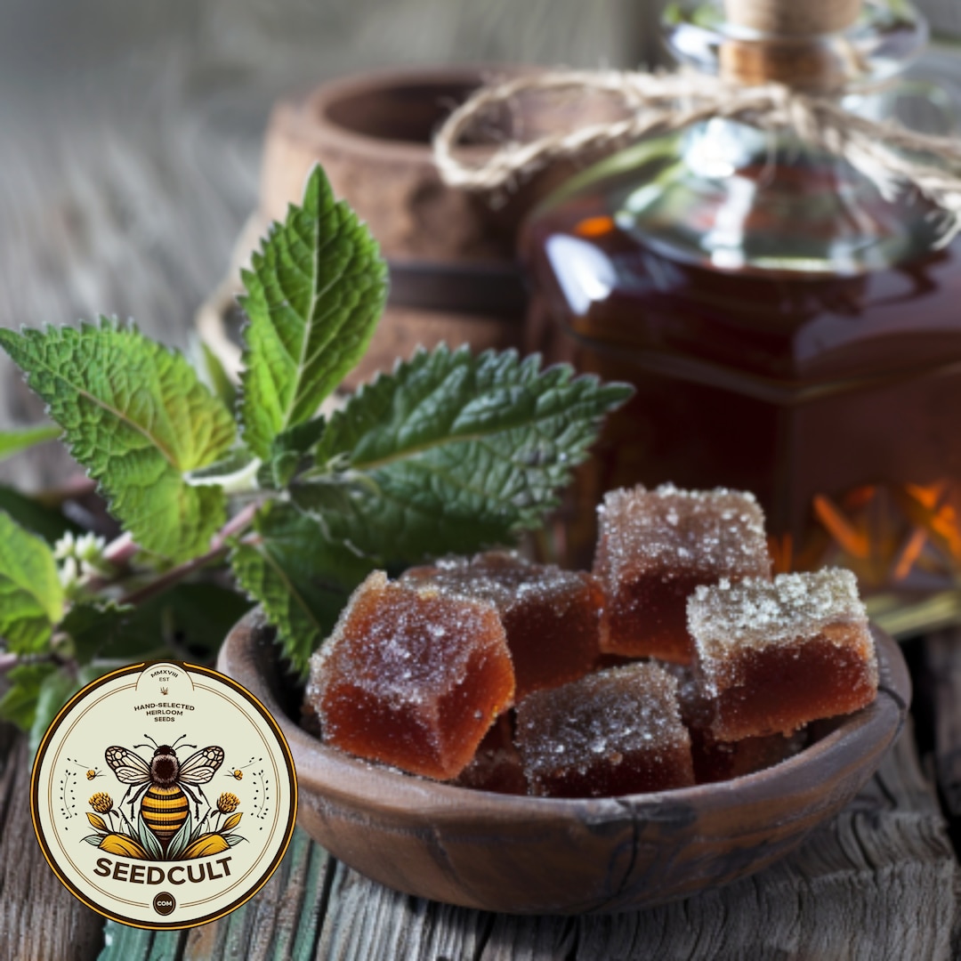 Horehound Seeds, Root Beer/licorice, Marrubium Vulgare, Medicinal Herbs ...