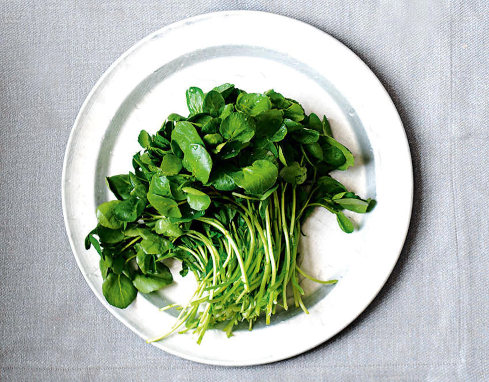 Bulk 200 Organic Watercress Seeds, True Watercress, Nasturtium ...
