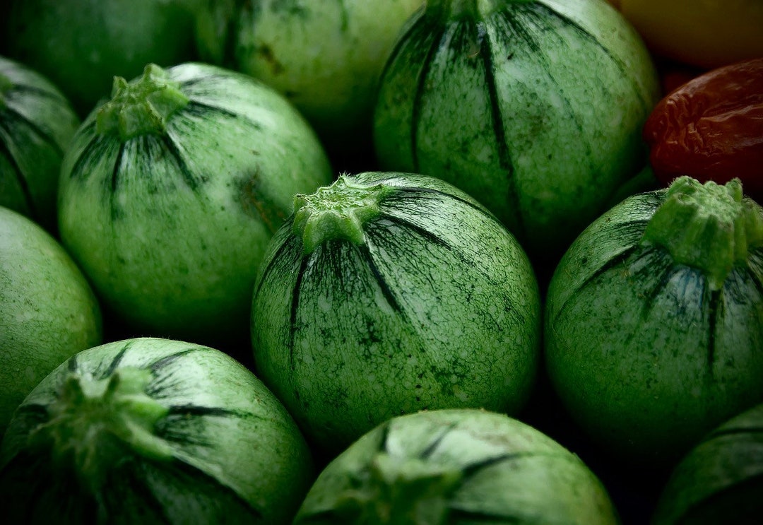 Organic Round Zucchini Seeds, Curcubita Pepo CB0325 - Etsy