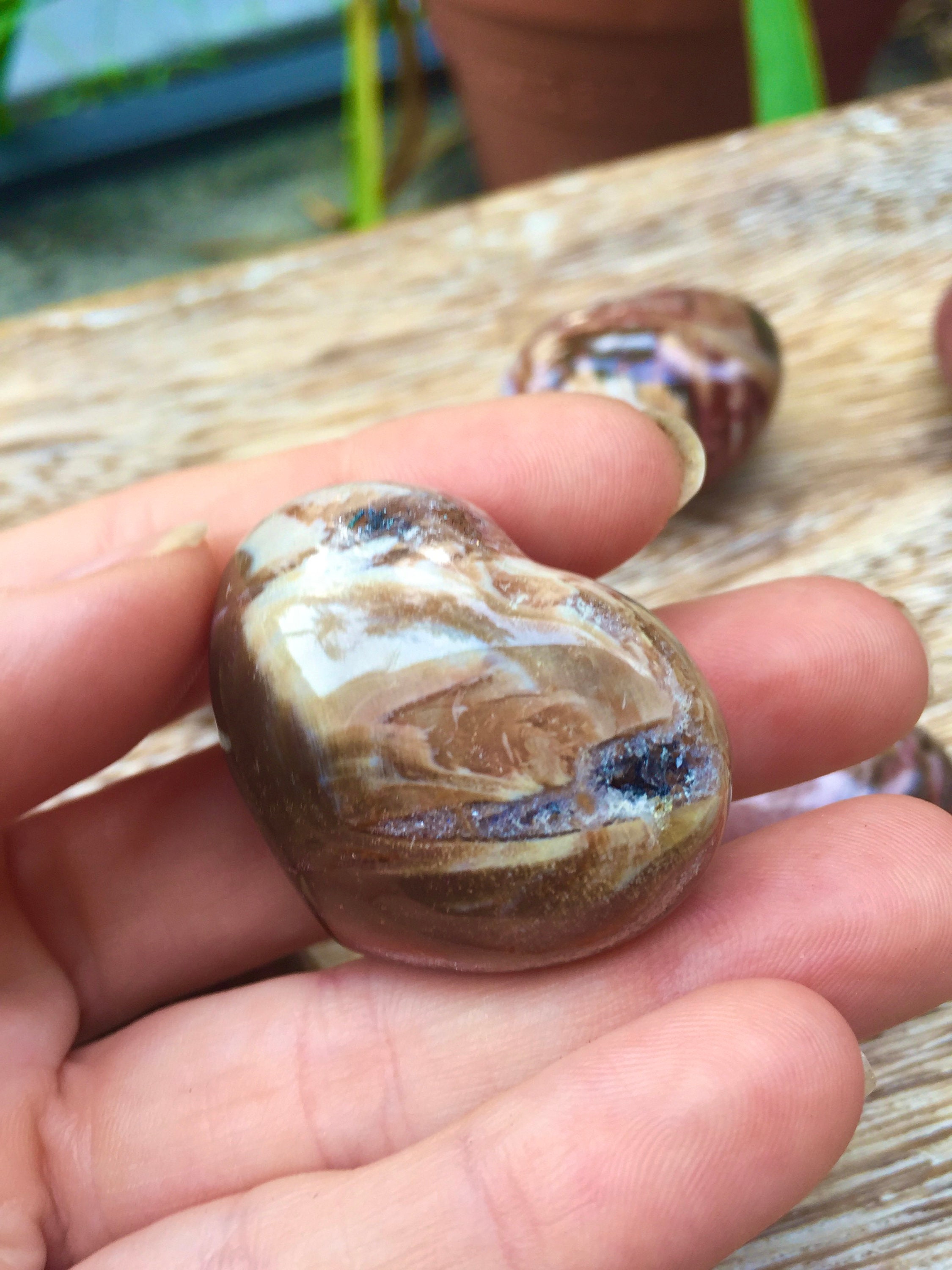Rare Ancient Fossilized Xylopal Large Puffy Hearts - Etsy