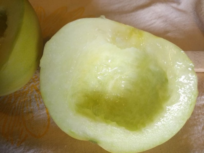 Sakata’s Sweet Tiny Melon, Edible Skin, Cucumis Melo, Japanese, Makuwa ...
