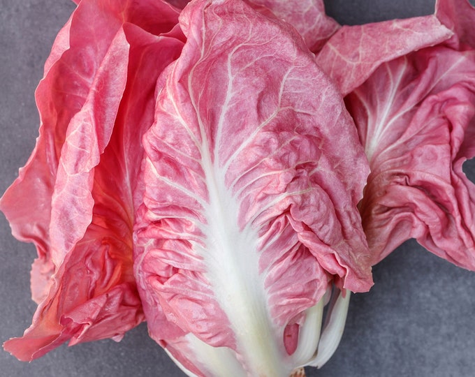 Castelfranco Heirloom Seeds 25 - Etsy