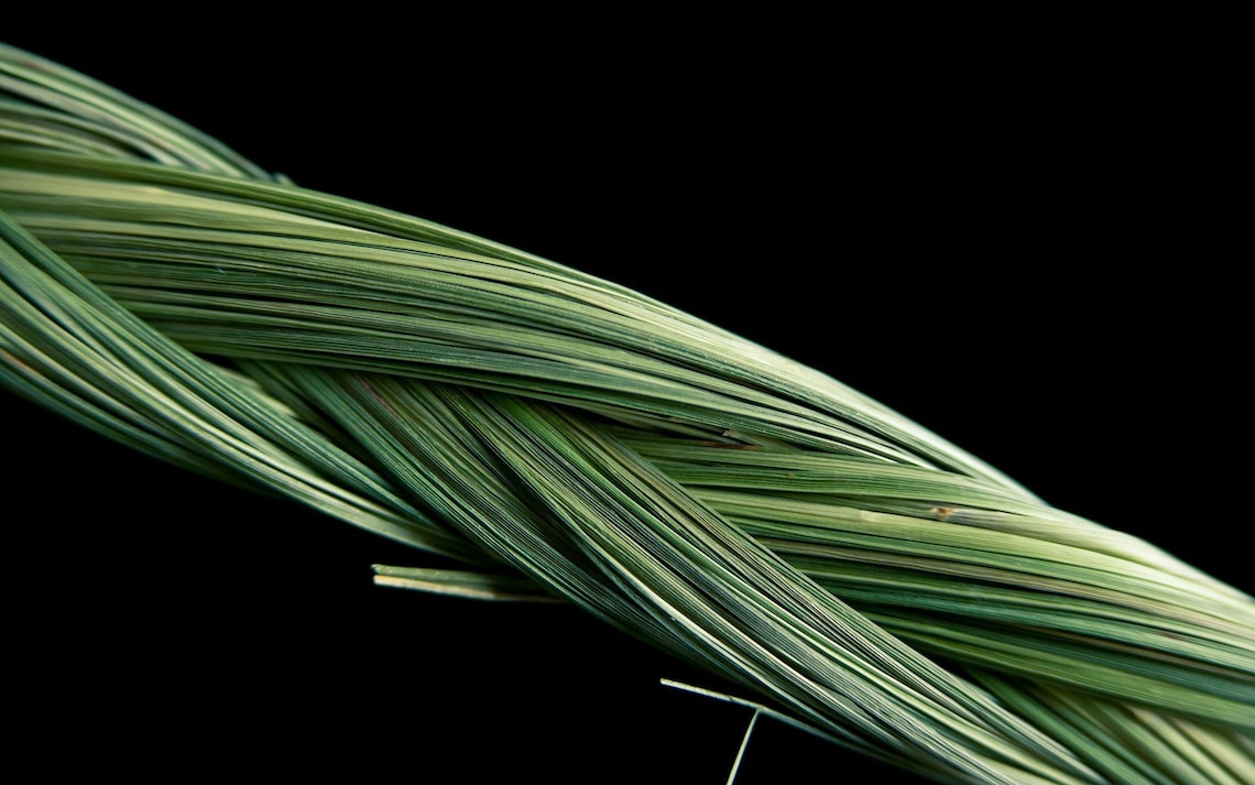 Sweetgrass Seeds, Hierochloe Odorata, Vanilla Grass, Holy Grass, Sweet ...