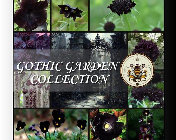 Goth Garden Seeds Pack- Edible Garden Vegetables Garden- Amaranth Black ...