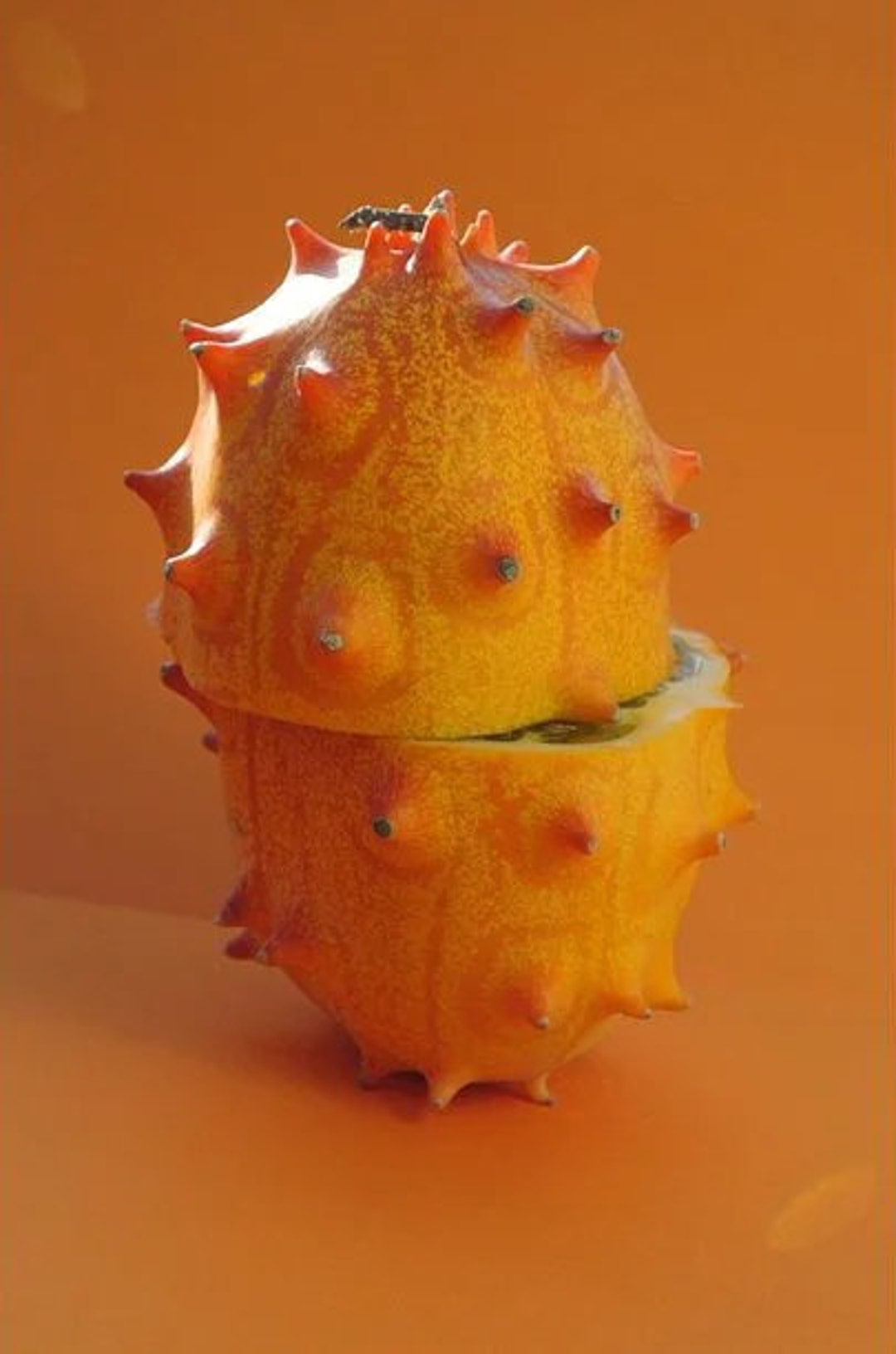Horned Jelly Melon Seeds, Organic Cucumis Metuliferus, Spiked Melon ...