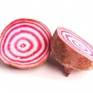 Candy Stripe Beets, Candy Cane, Bullseye, Beta Vulgaris, BE9315C - Etsy
