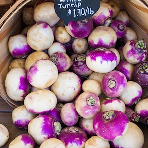 3000 Bulk Purple Top Turnip Seeds, Brassica Campestris BR083M - Etsy