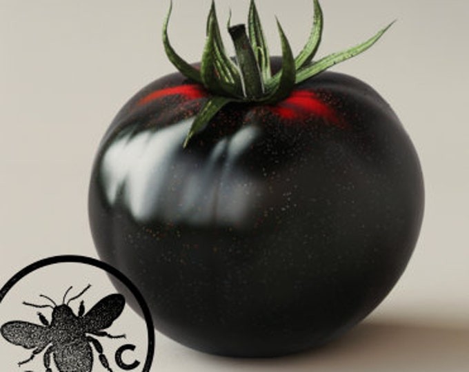Organic Indigo Apple Tomato Seeds, Heirloom, Non-gmo, Solanum ...