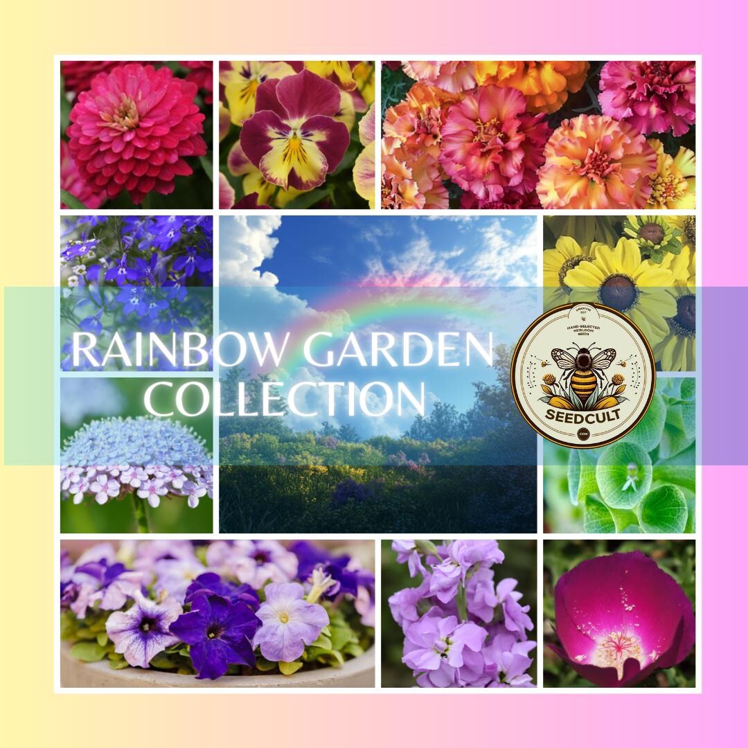 NEW! Rainbow Garden Seed Collection in Gift Box, Sampler, 14 Individual ...