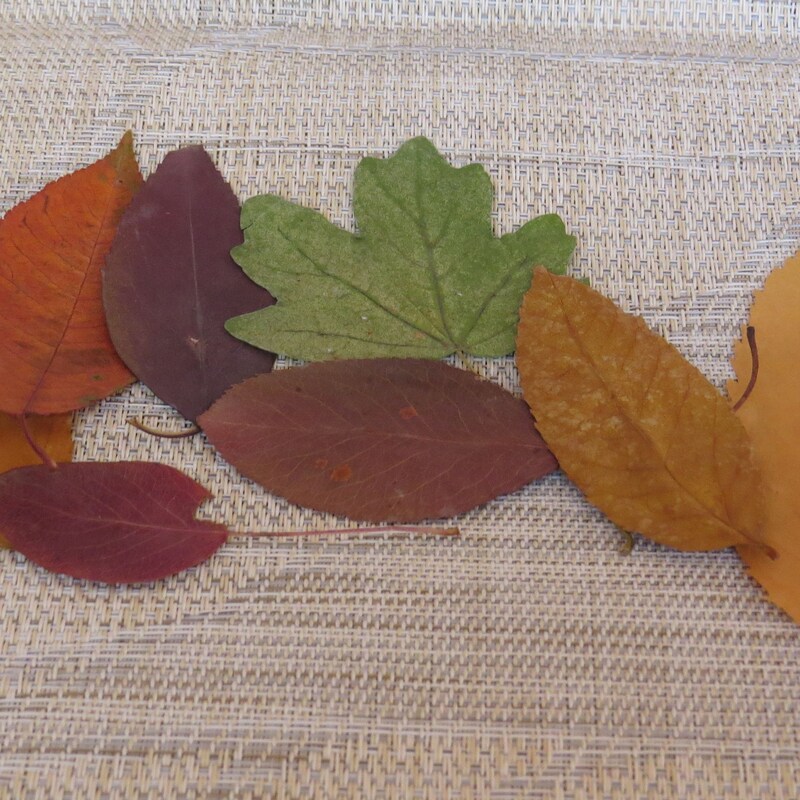 SoManyLeaves - Etsy