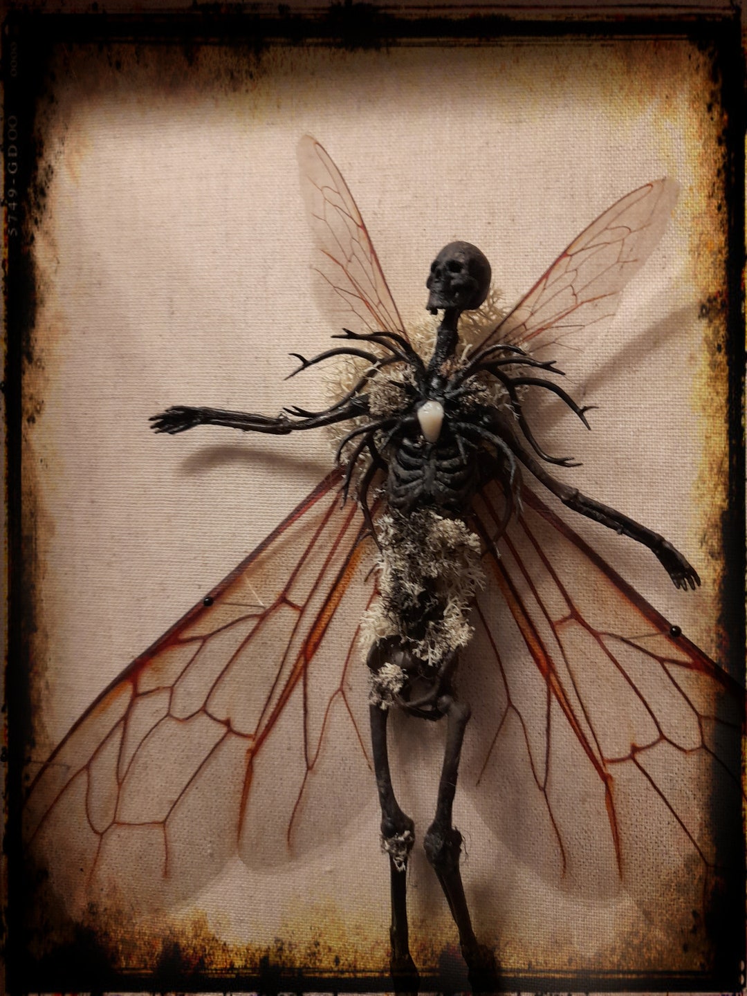 Dead Fairy Display Case - Etsy