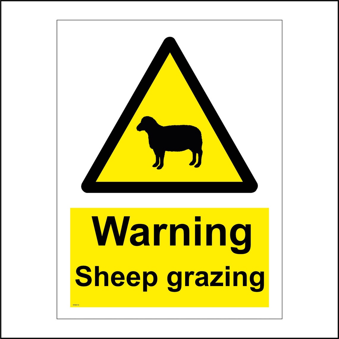 WS613 BP Warning Sheep Grazing Sign Farms Agriculture Lambs Spring ...