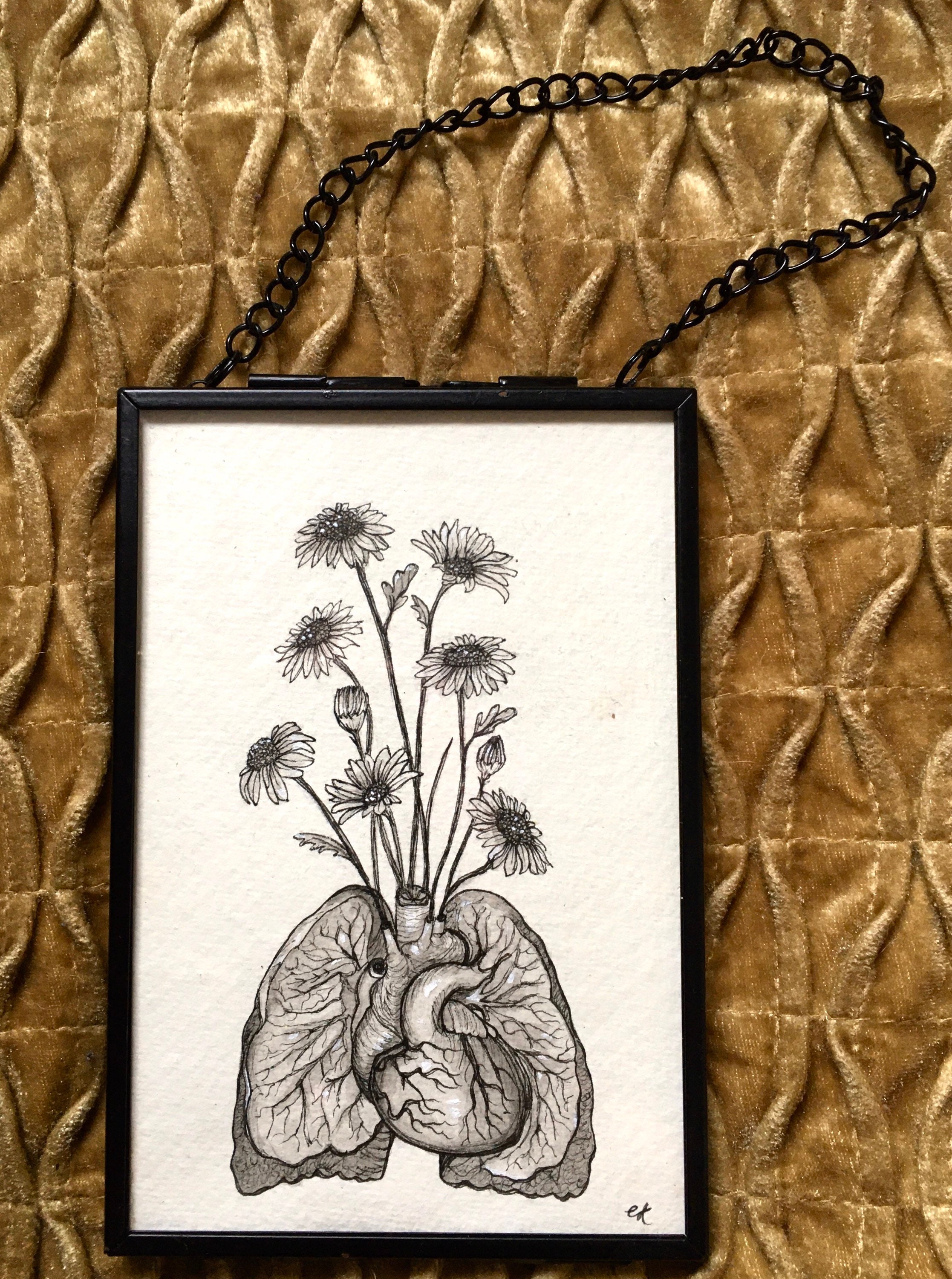 Wild Daisy Floral Anatomy Lungs Scientific Botanical Illustration ...