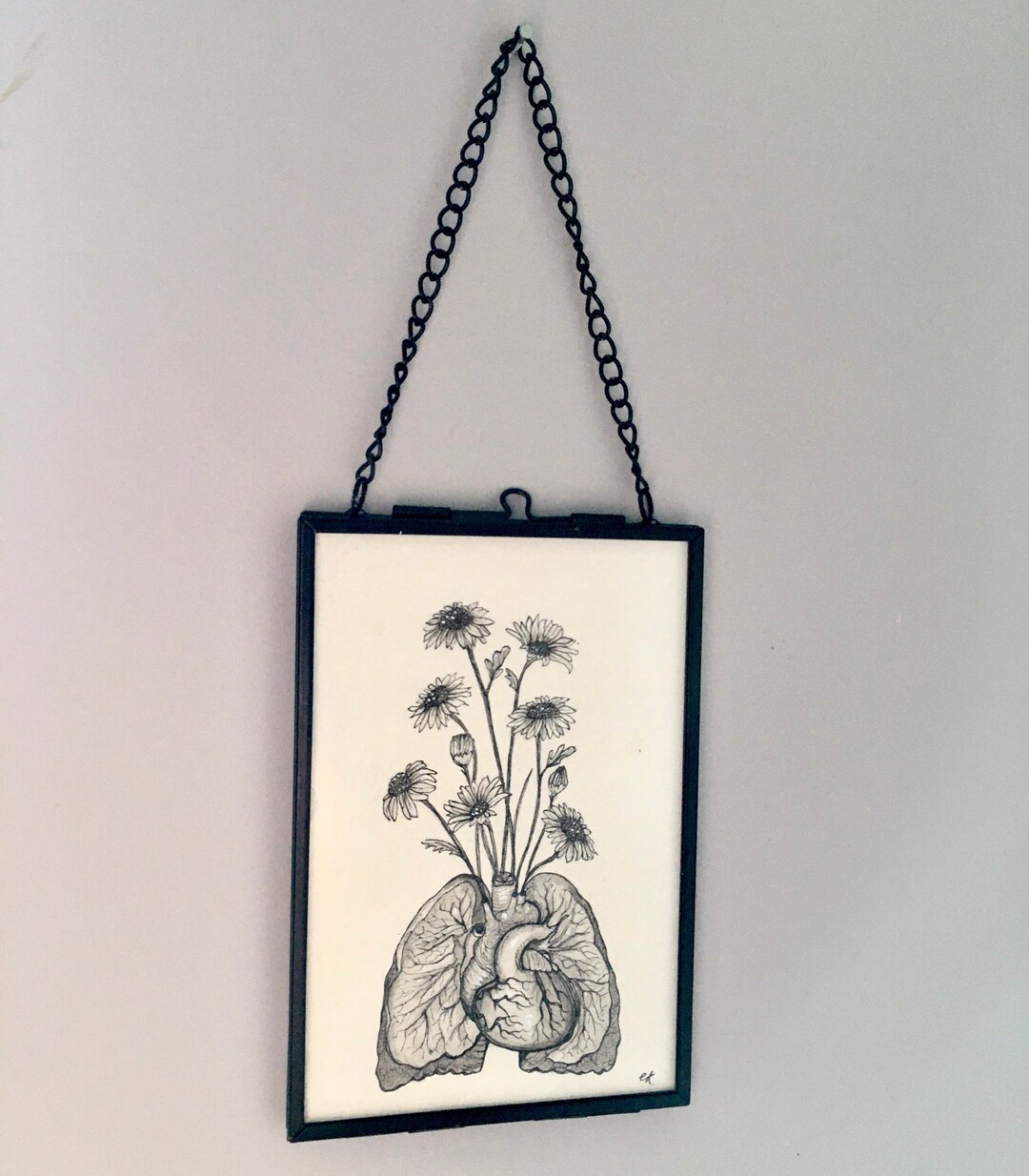 Wild Daisy | Floral Anatomy Lungs | Scientific Botanical Illustration ...