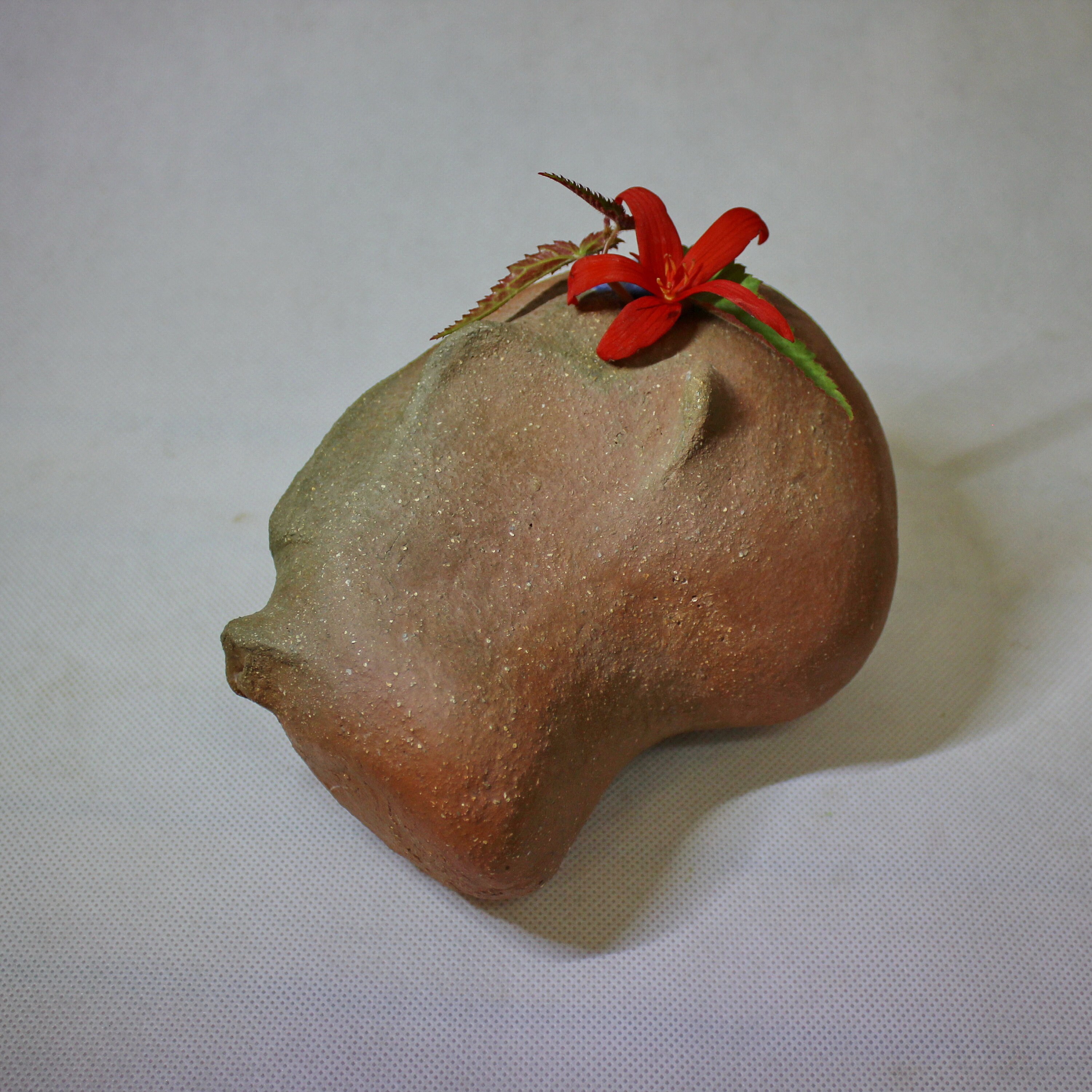 Human Face Design Vase. Creative Face and Head Vase. Creative Gift ...