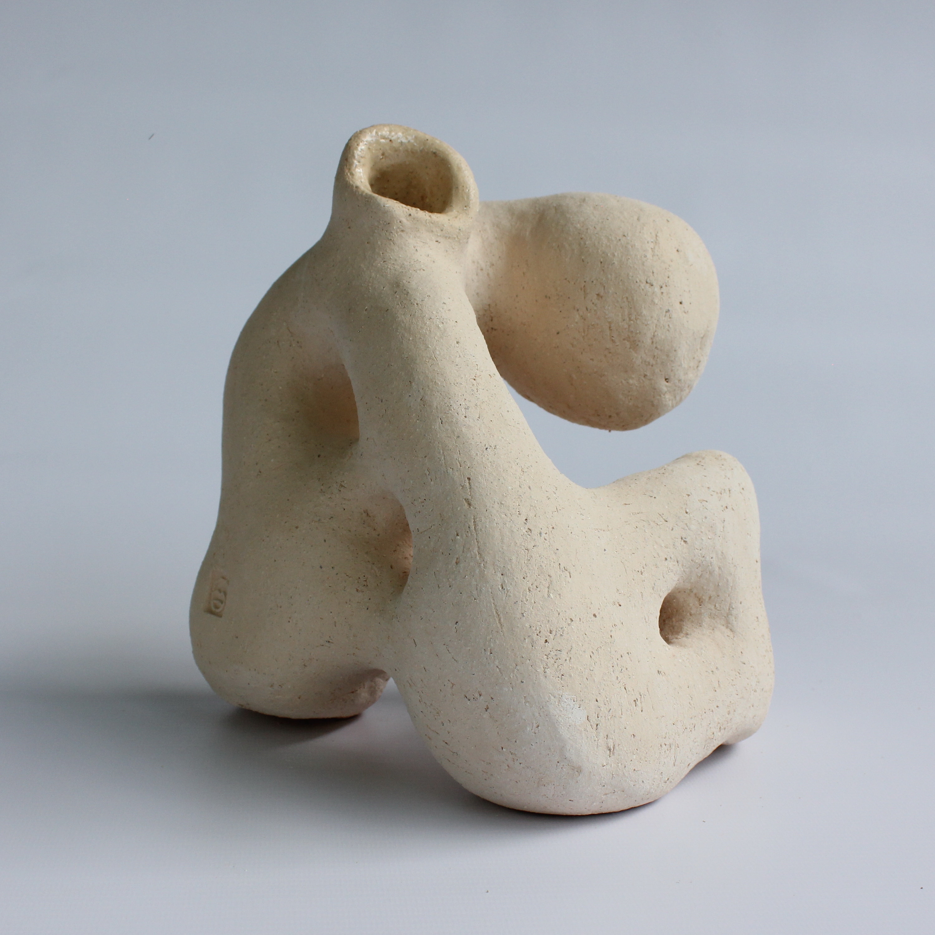 Interior Designer. Abstract Sculptures. Creative Sculpture Vase ...