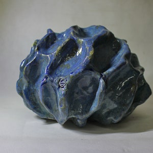 Organic Marine Vase. Coral Reef. Ceramics of the Underwater World. Vase ...