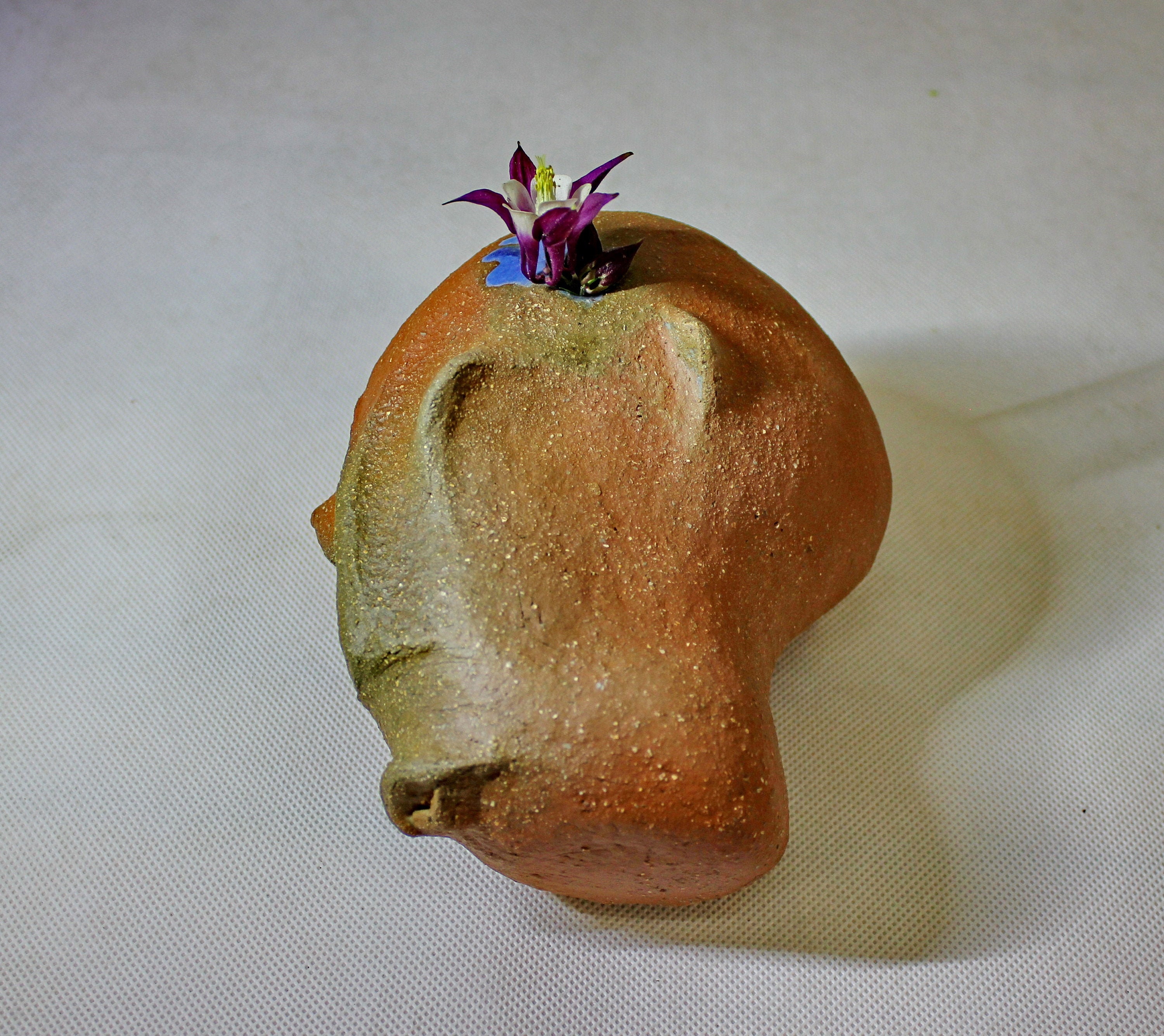 Human Face Design Vase. Creative Face and Head Vase. Creative Gift ...