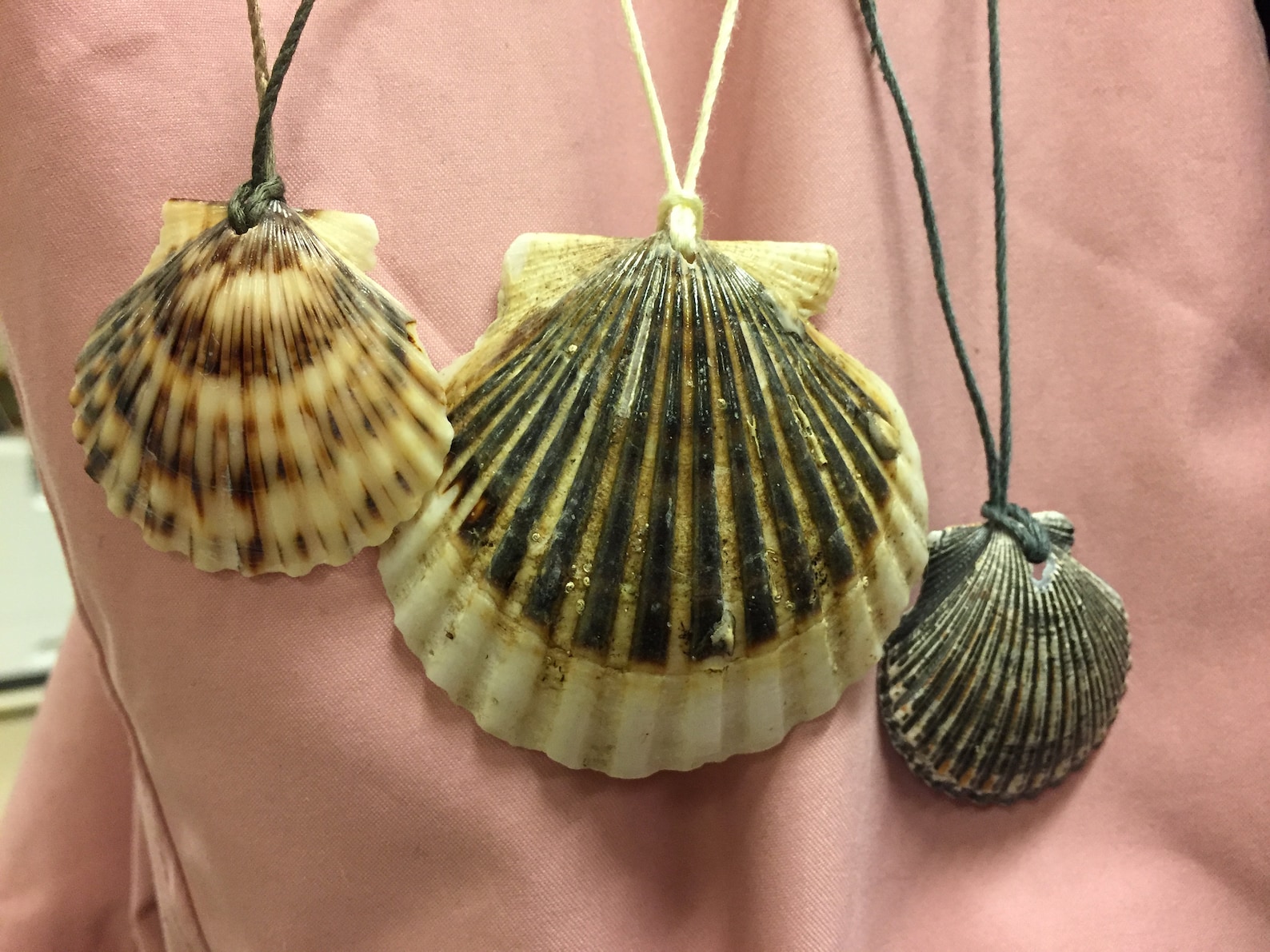 Colorful Scallop Shell Pendant on Cord Necklace (extra Small, Small ...