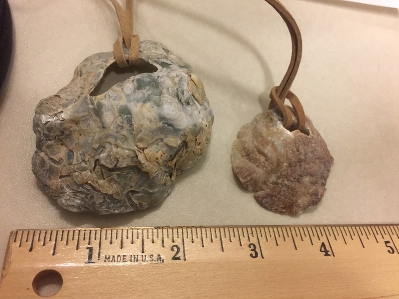 Northern California Textured Shell Pendant on Rawhide Necklace - Etsy