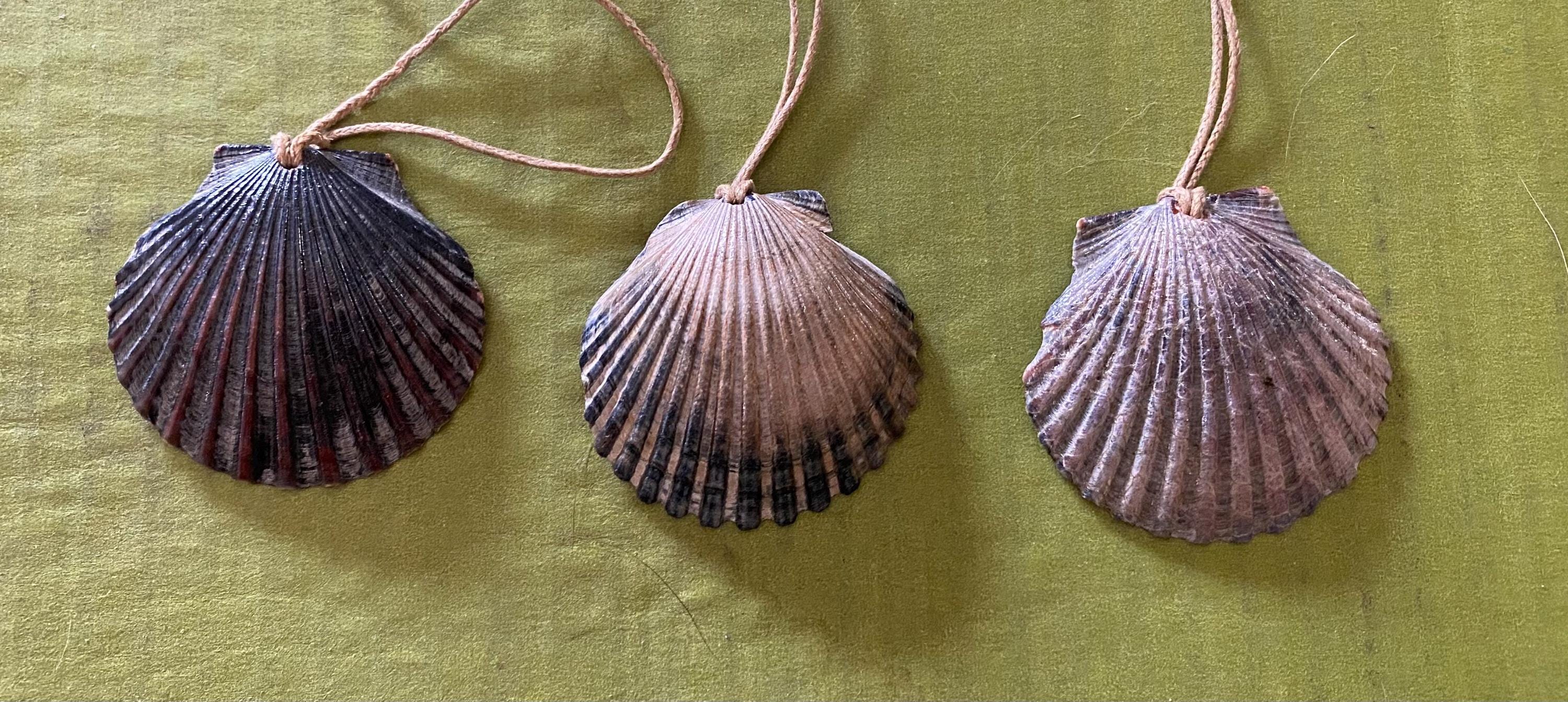Colorful Scallop Shell Pendant on Cord Necklace (extra Small, Small ...