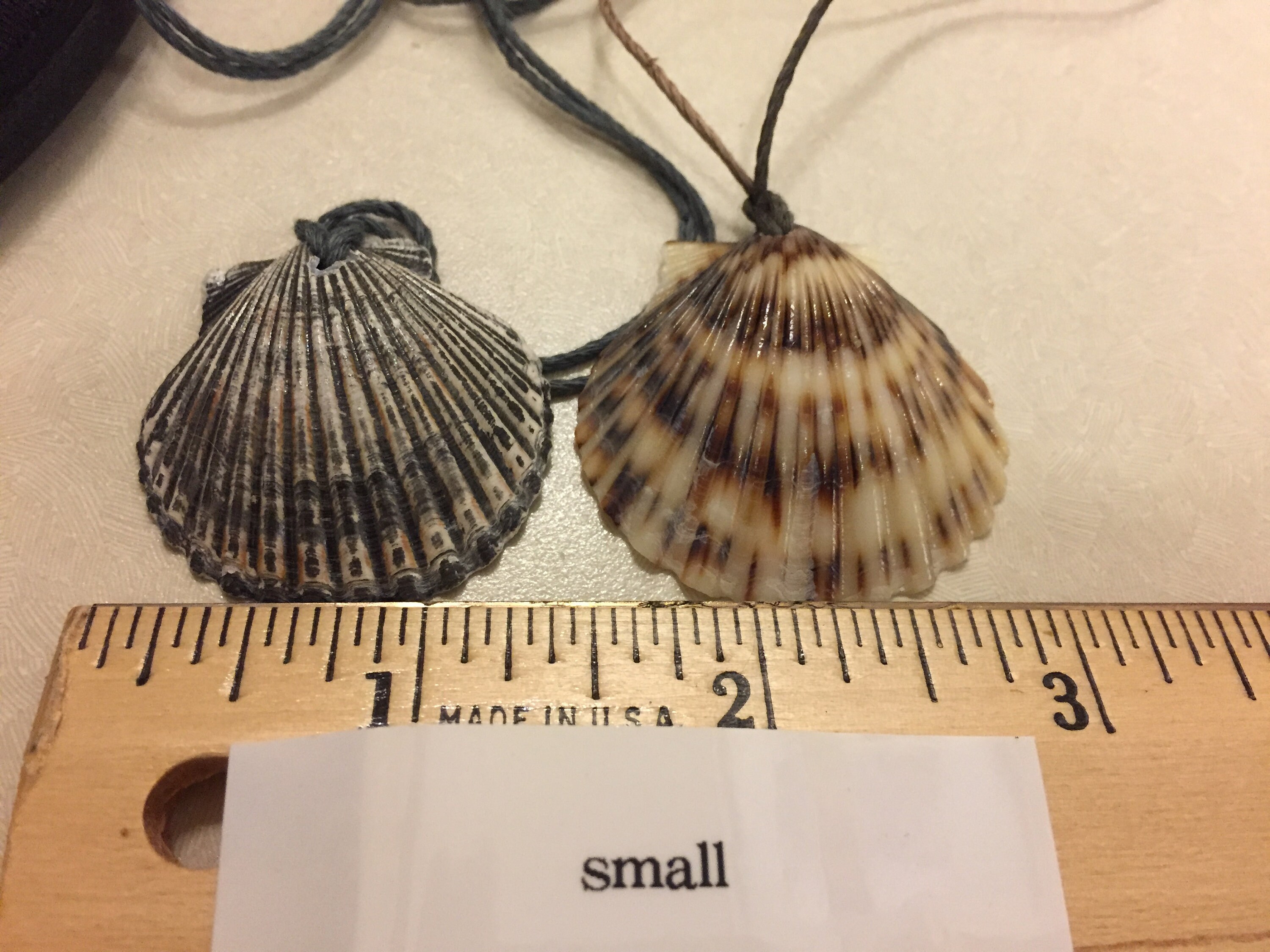 Colorful Scallop Shell Pendant on Cord Necklace (extra Small, Small ...