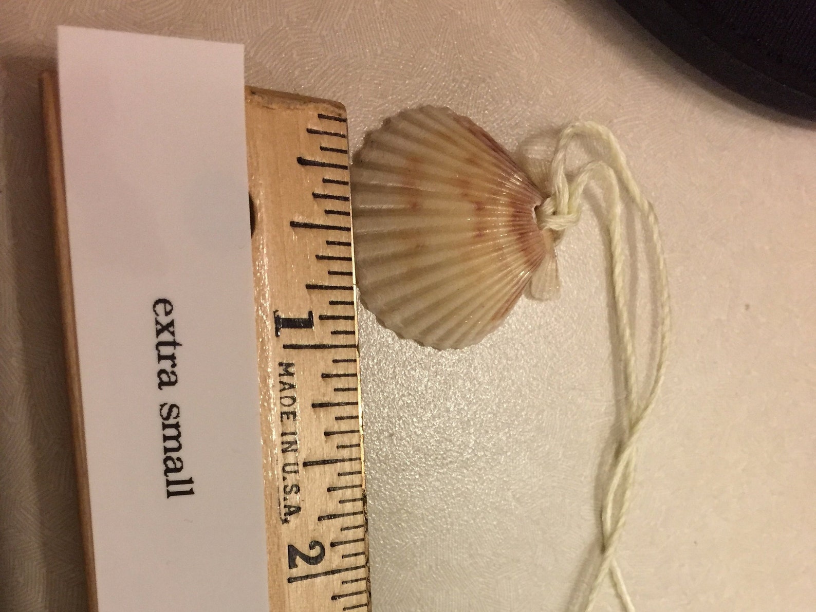 Colorful Scallop Shell Pendant on Cord Necklace (extra Small, Small ...