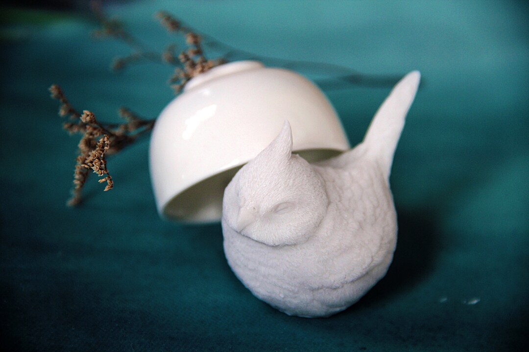 Cockatiel (parrot) Resin Model Kit With Teacup - Etsy