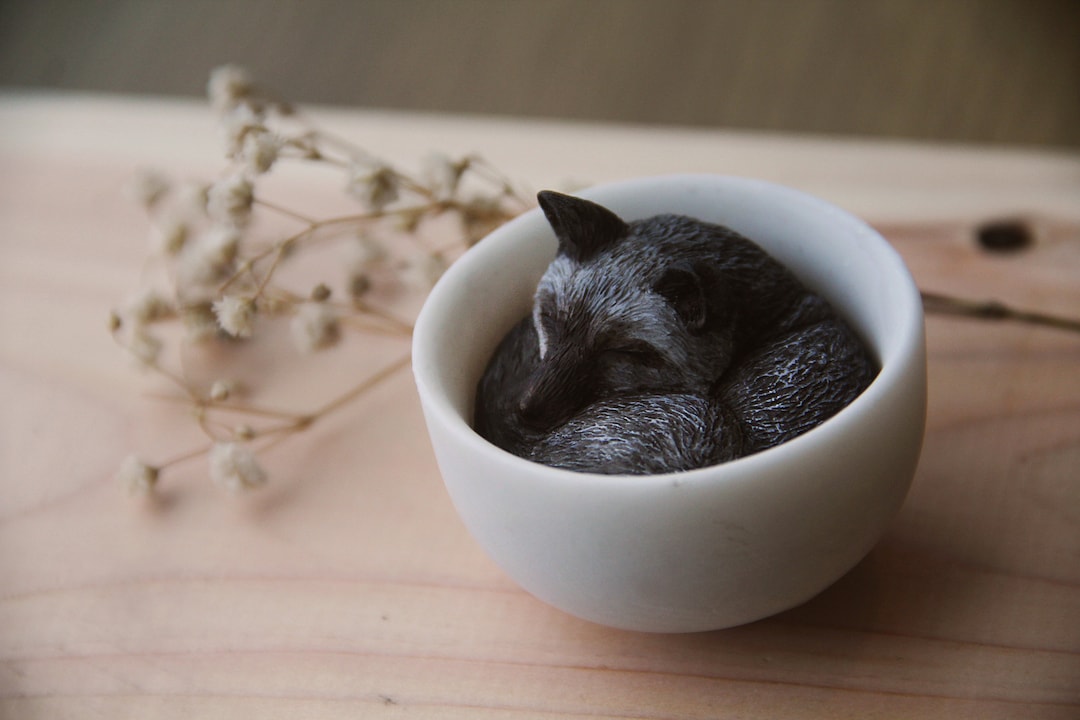 Tea Fox / Teacup Fox (black Fox) Sleeping Kitsune Statue Resin Fox ...
