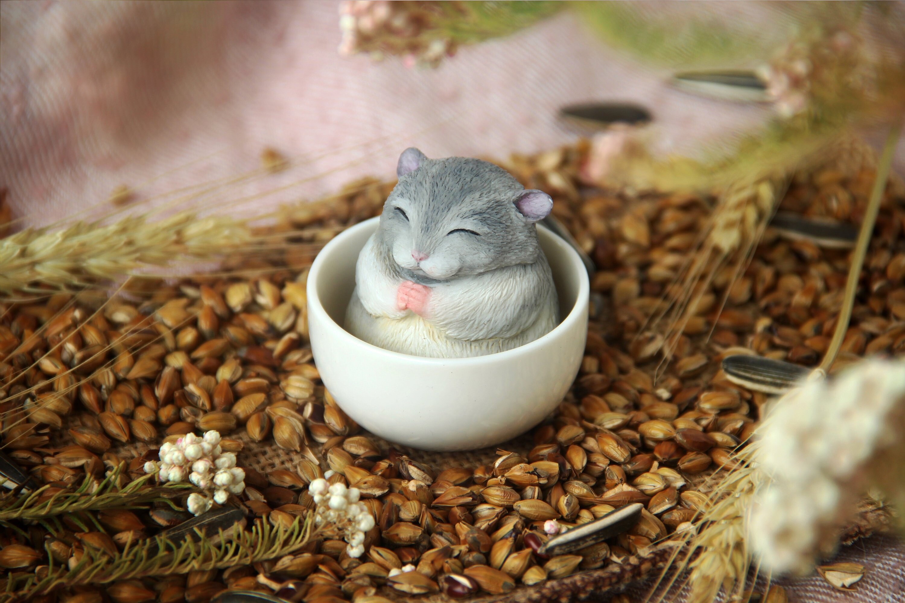 Teacup Hamster