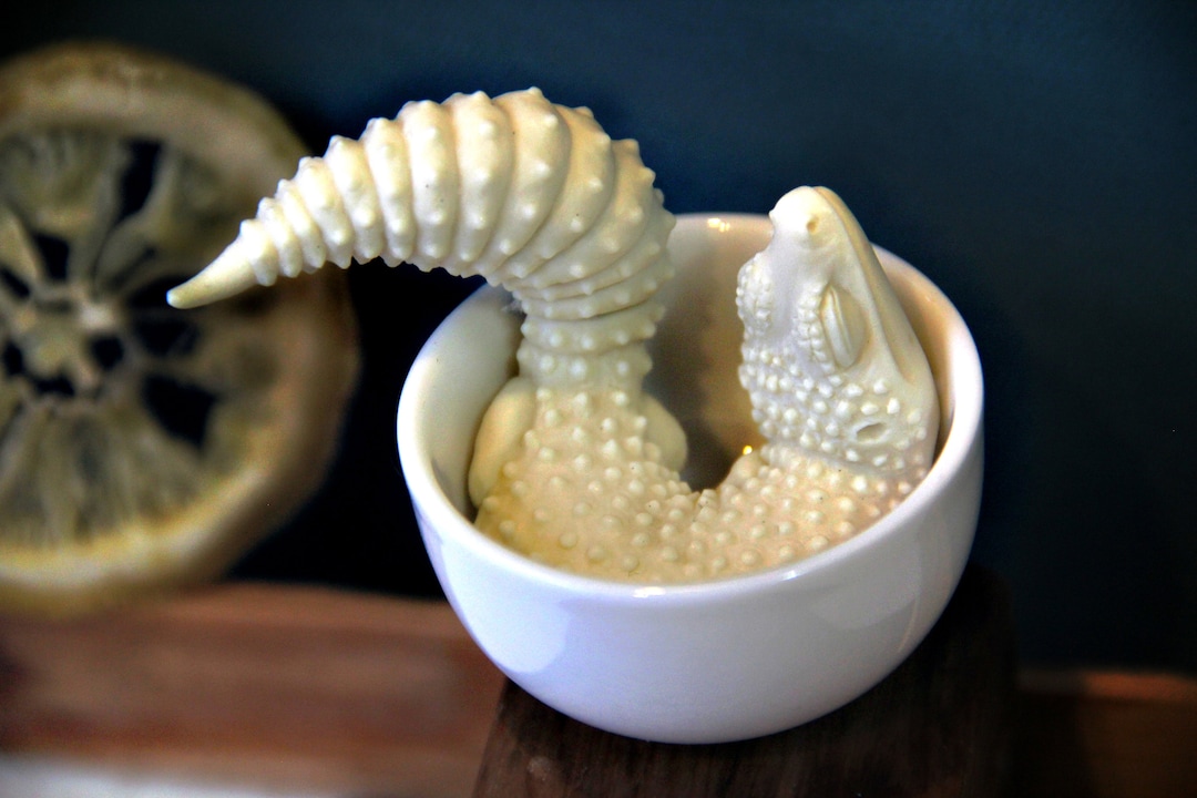 Leopard Gecko Resin Model Kit (tea Leopard Gecko / Teacup Leopard Gecko ...