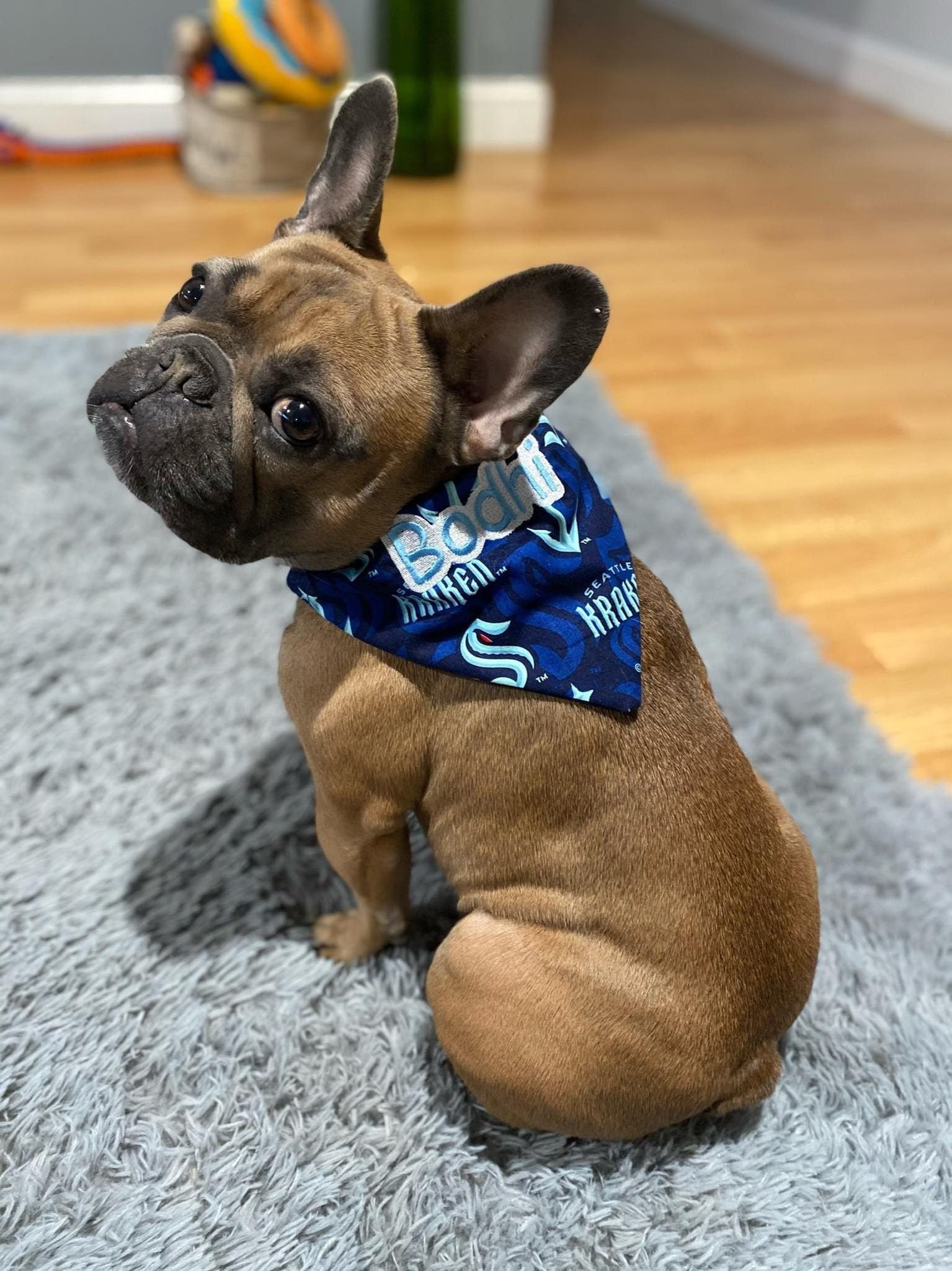 Seattle Kraken Dog Bandana | Over the Collar | Personalize Option ...
