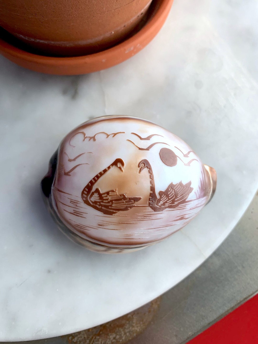 Vintage Carved Cowrie Shell With Swans / Made in India - Etsy
