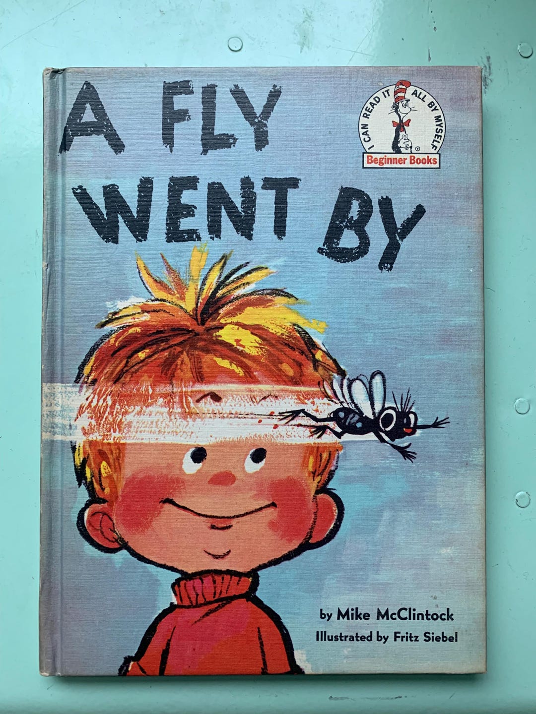 A Fly Went By: Vintage Beginner Book, Illustrated by Fritz Siebel - Etsy
