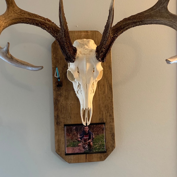 European Mount - Etsy