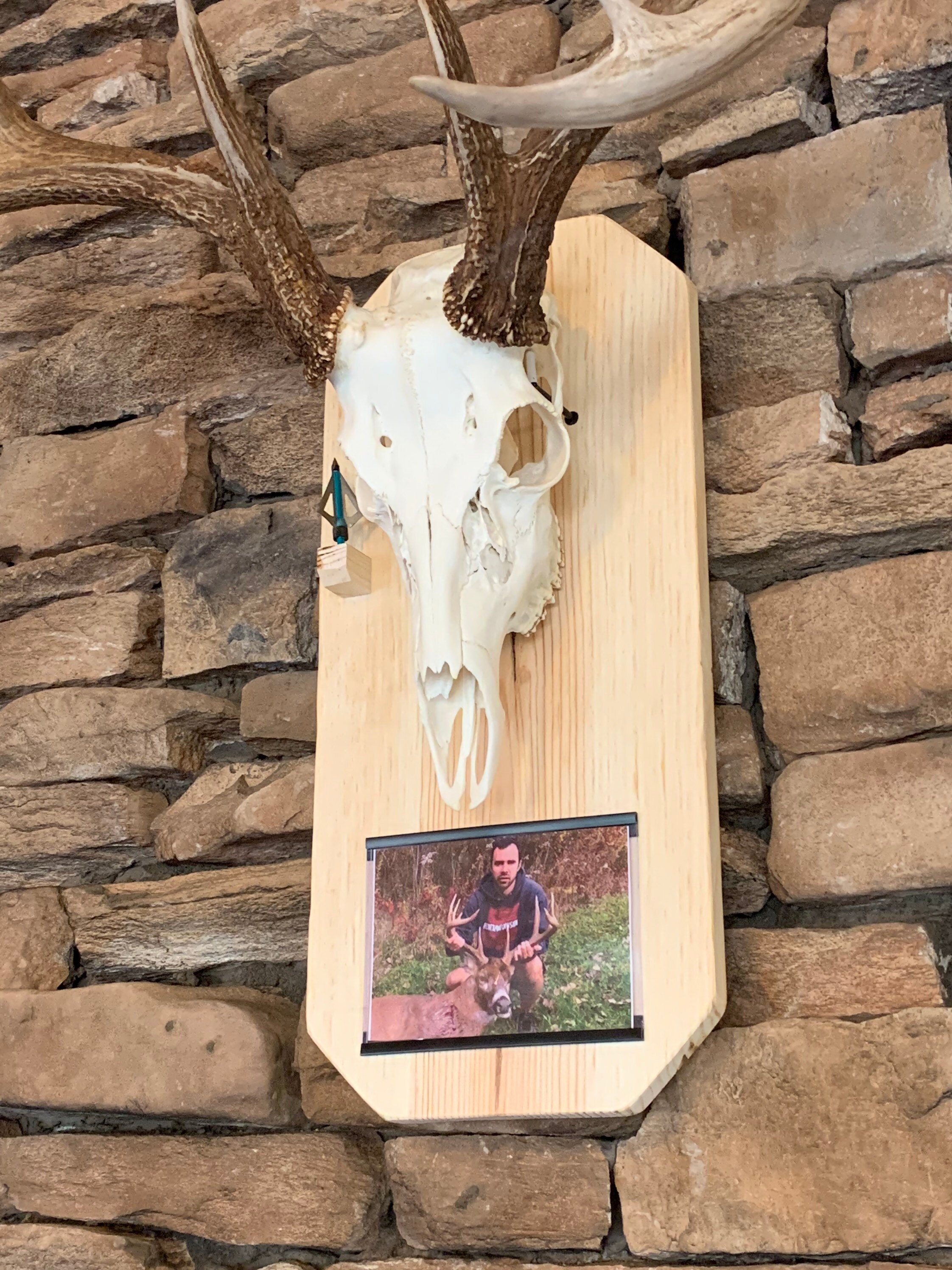 European Skull Mount With Custom Picture and Arrow/bullet Holder - Etsy