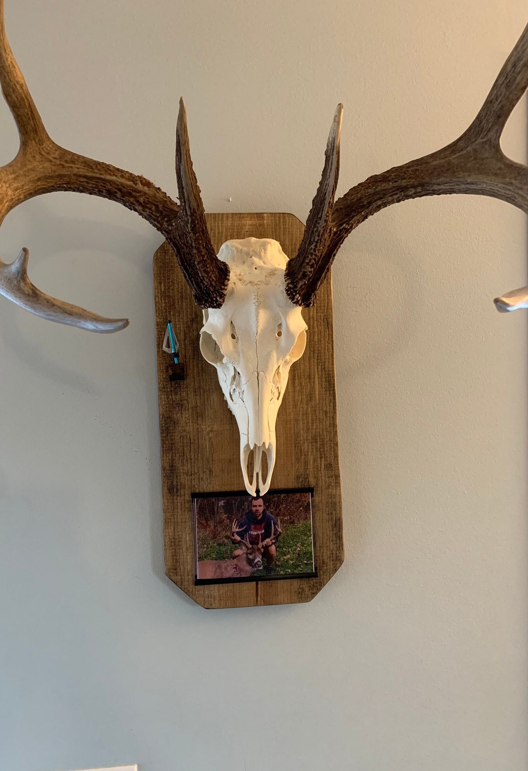 European Skull Mount With Custom Picture and Arrow/bullet Holder - Etsy